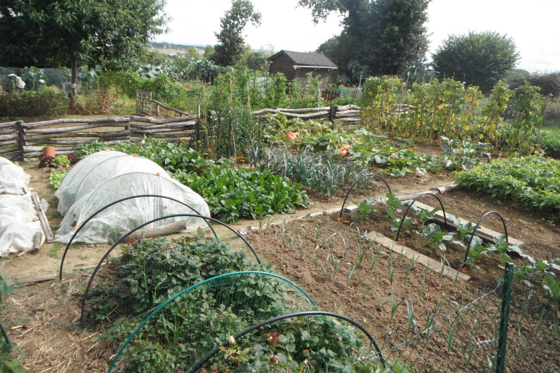 Des parcelles disponibles aux jardins familiaux | Mosaïk